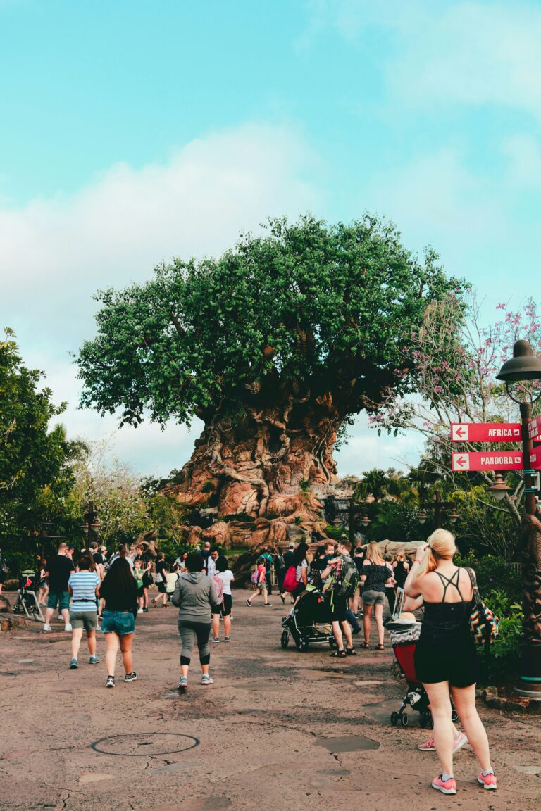When’s the Least Crowded Time to Visit Disney World?